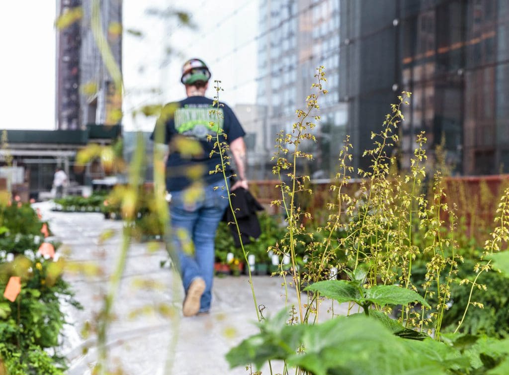 The High Line - Section 3 / Phase 2 - Sciame Construction